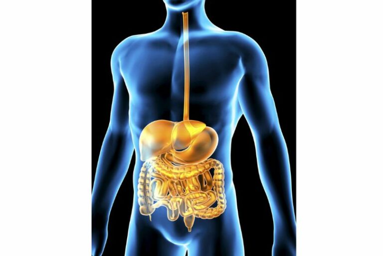 Vasti- Ayurvedic Enema- The Most Effective Therapy- Maurya